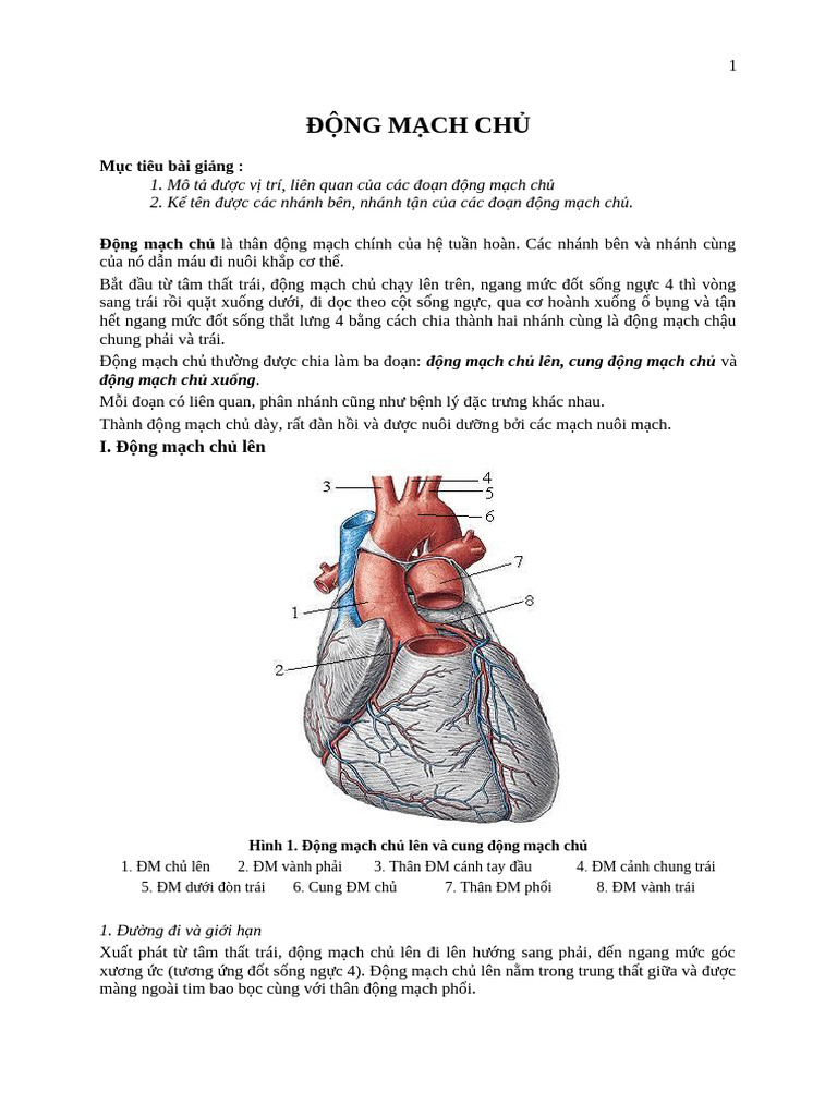 Đ NG M CH CH - Giáo Trình | PDF