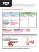 C 37 Cecostomia Colostomia | PDF | Intestino grueso | Abdomen