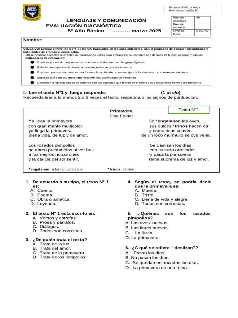 Evaluación Diagnóstica 5° Año | PDF