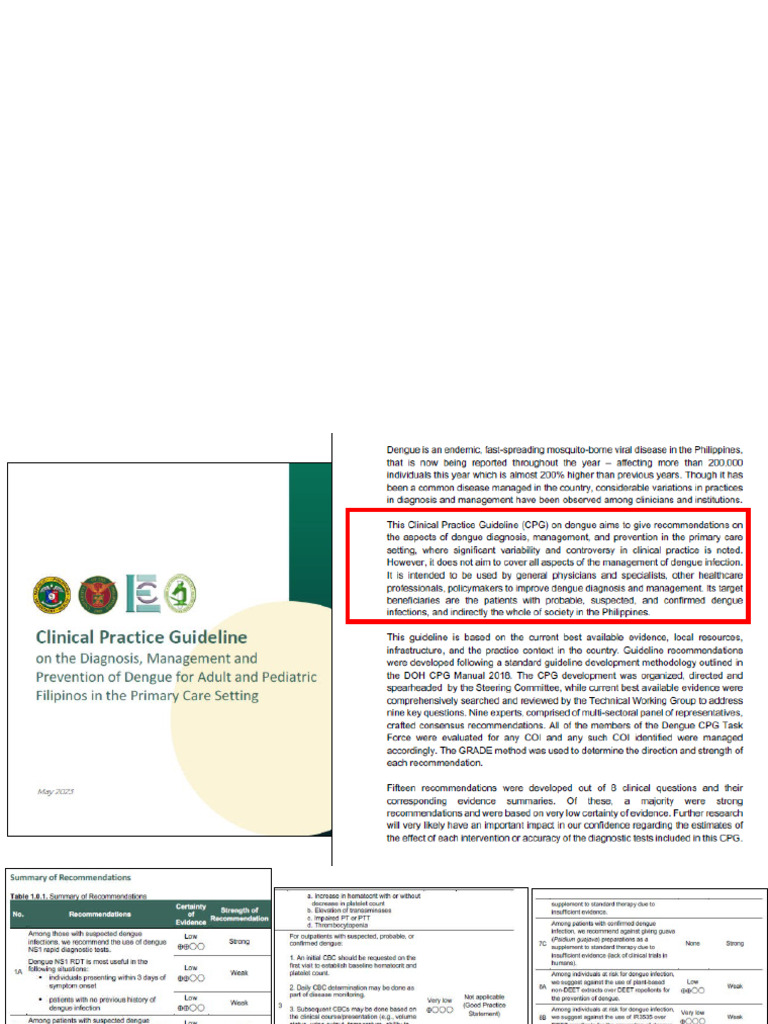 Dengue Clinical Practice Guidelines Explanation | PDF