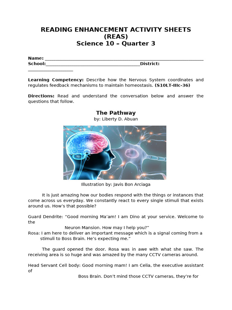 Science 10 - Quarter 3 - Week 3a | PDF | Axon | Neuron