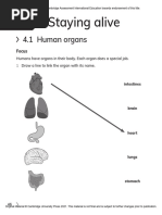Labeled Diagram of Chameleon Parts | PDF