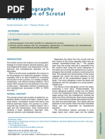 Lec 8-Normal Scrotal Ultrasound | PDF | Testicle | Anatomy