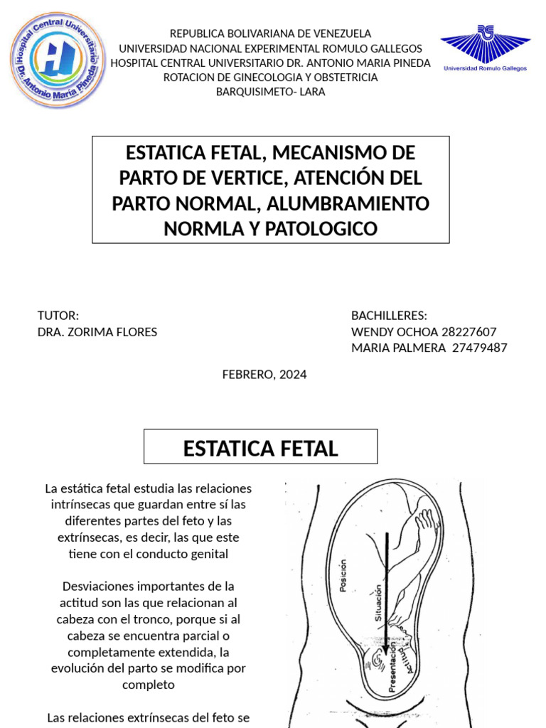 Estática Fetal y Mecanismo de Parto | PDF | Parto | Pelvis