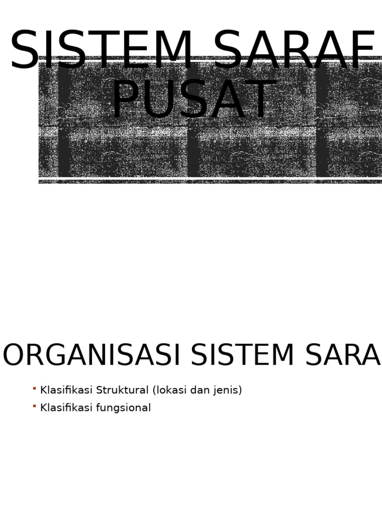 Histologi SSP | PDF