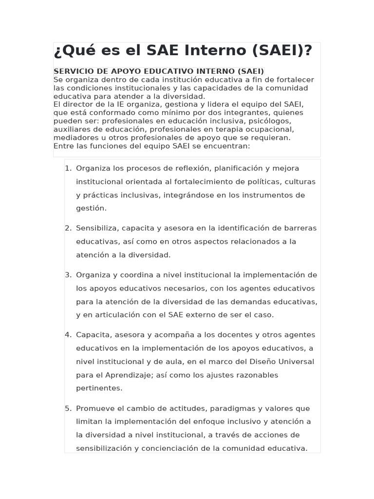Definición y Funciones del SAEI | PDF
