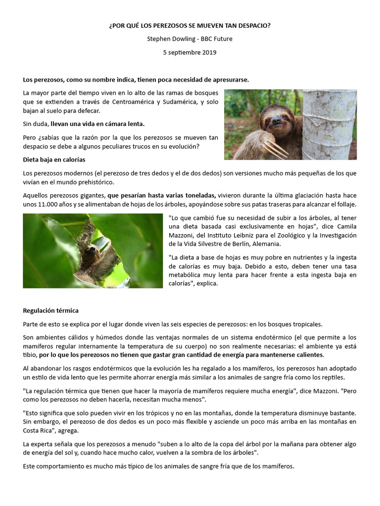 El_perezoso | PDF | Mamíferos | Piel