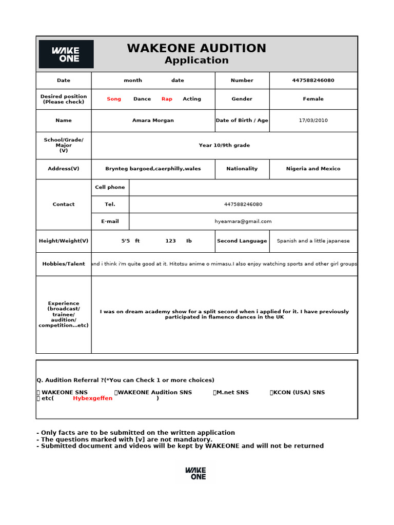 Wakeone Audition Application2 Eng | PDF