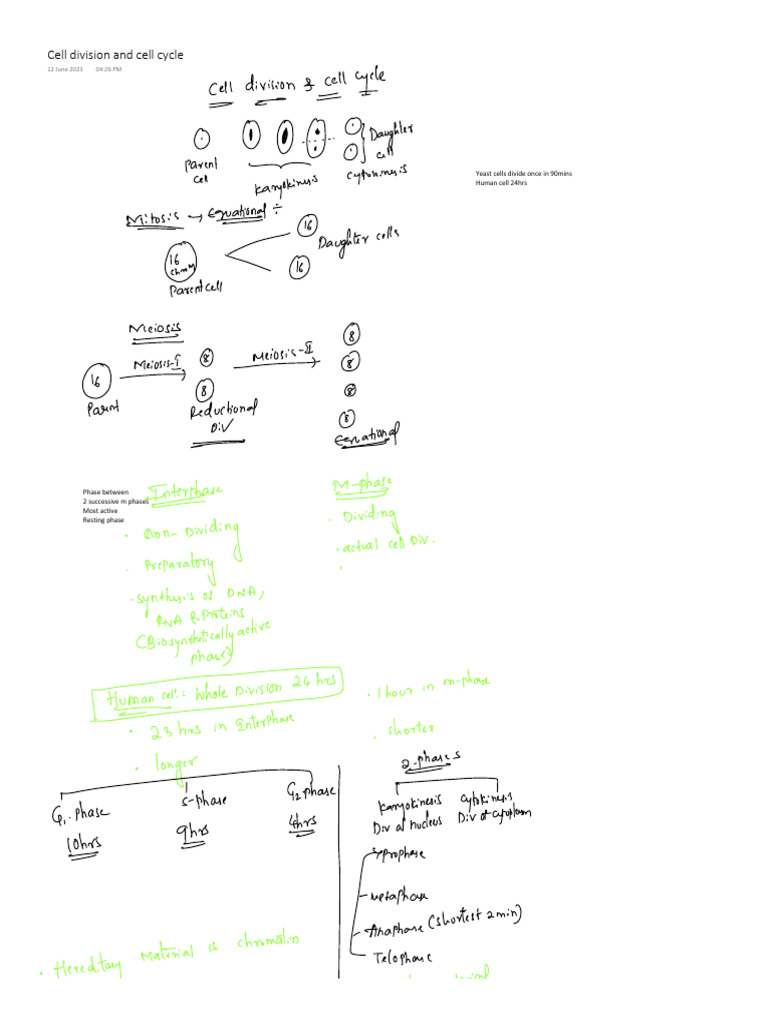 Cell Division and Cell Cycle (Aakash Notes) | PDF