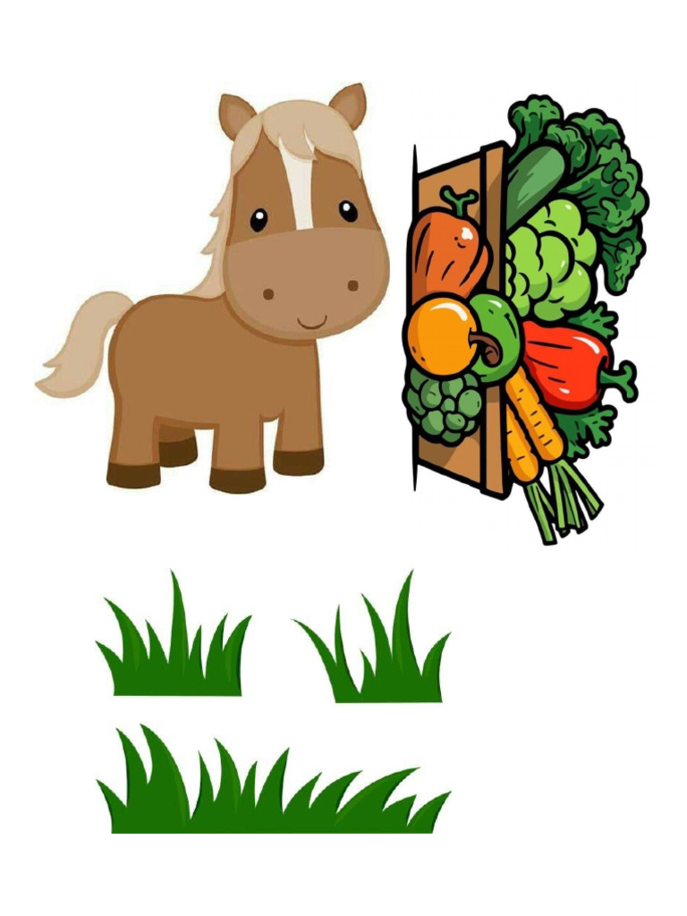Caballo | PDF
