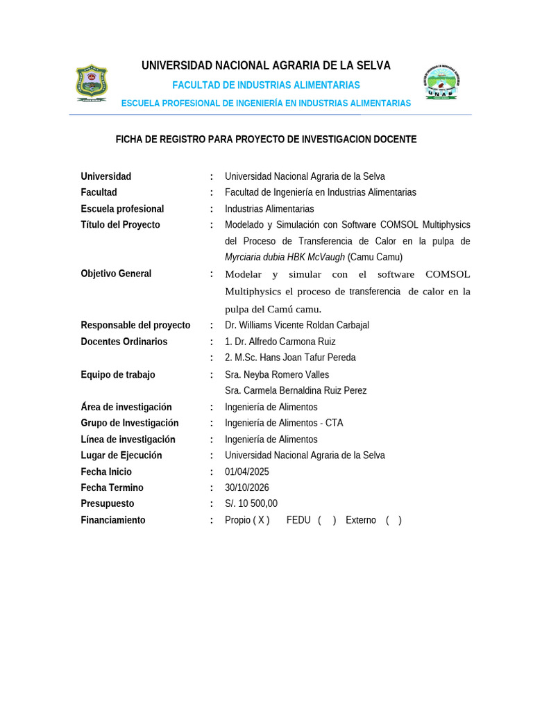 informacion del proyecto (2) | PDF