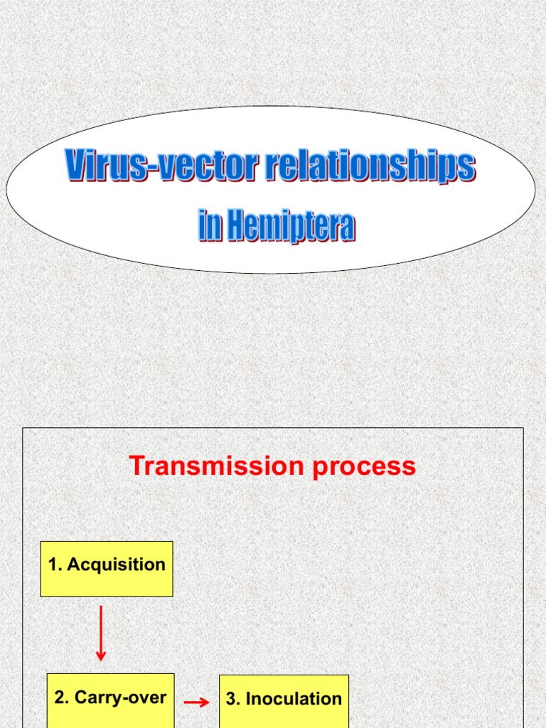 Aula3 Non Persistant Transmission 2021 | PDF | Organisms