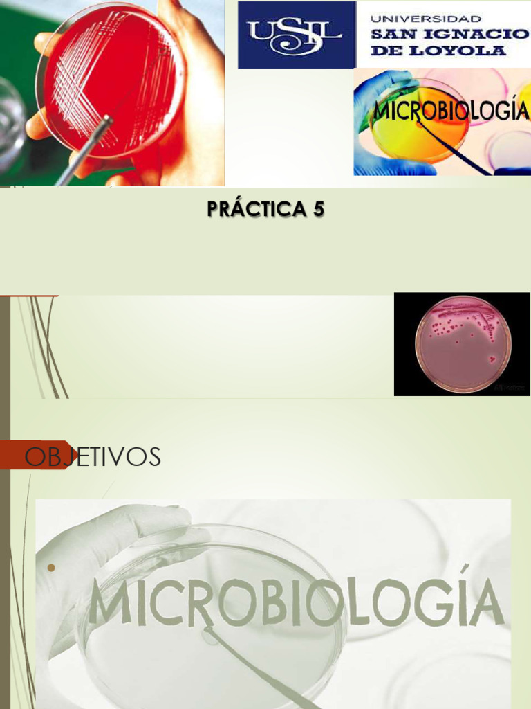 Laboratorio 05 | PDF | Microbiología