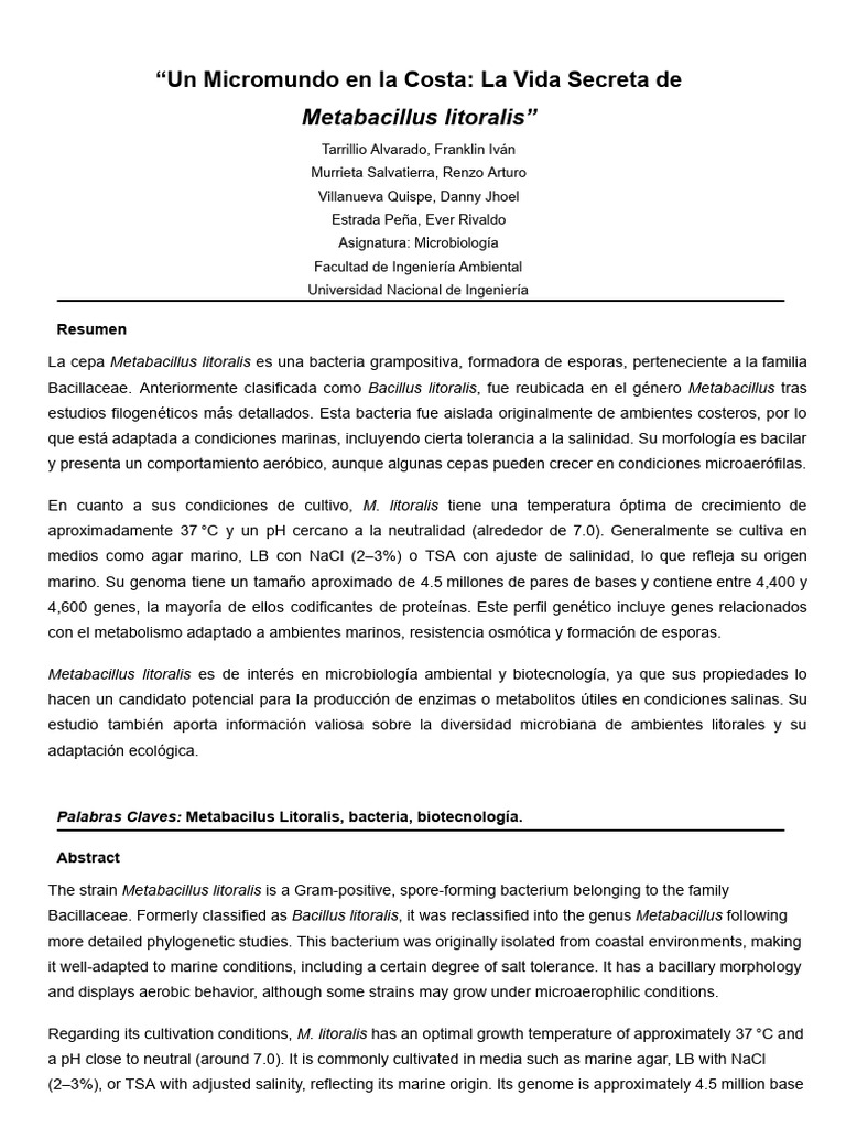 Un Micromundo en la Costa_ La Vida Secreta de Metabacillus litoralis ...
