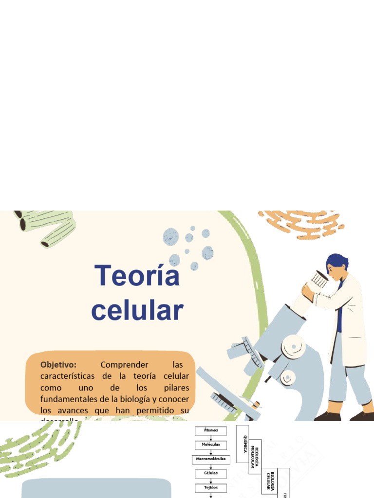 Teoría Celular para 6° Año | PDF | Biología Celular) | Microscopio