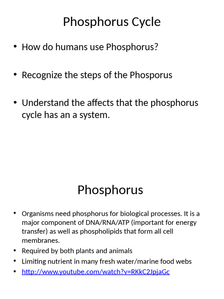 Phosphorus Cycle PPT With Ques | PDF