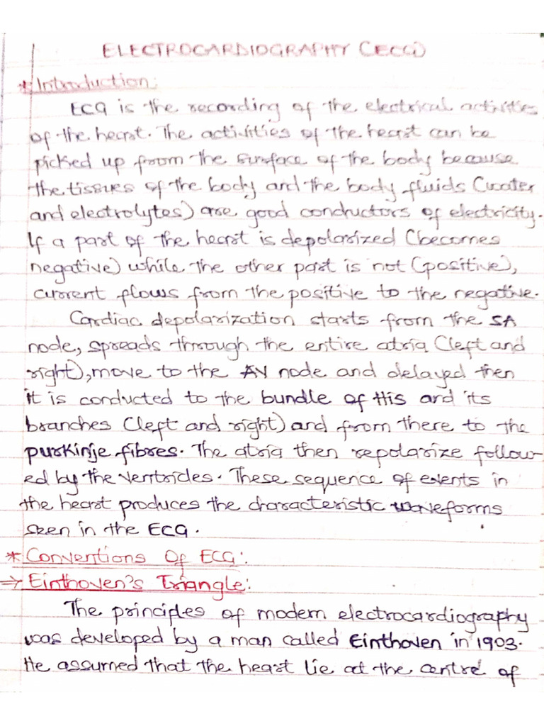 CVS - Ecg | PDF
