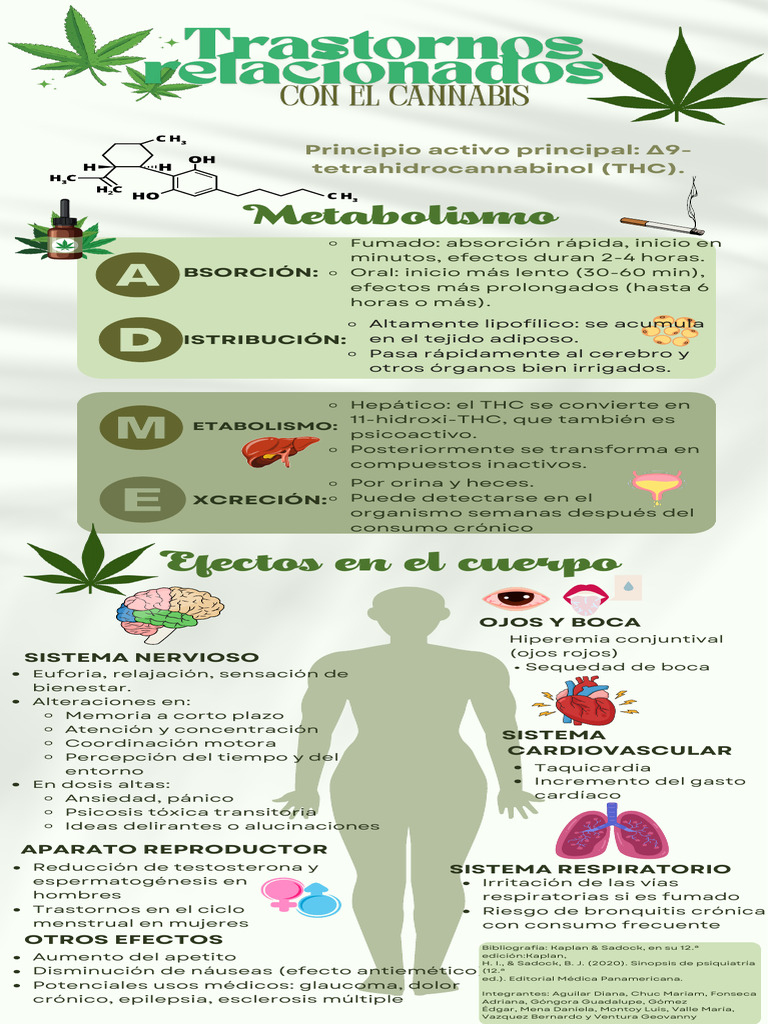 Infografia Cannabis | PDF | Tetrahidrocannabinol | Cannabis (Droga)