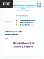 Fisiologia Del Metabolismo Del Calcio | PDF | Calcio | Vitamina D