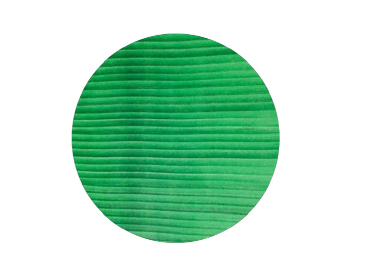 Motif Daun | PDF
