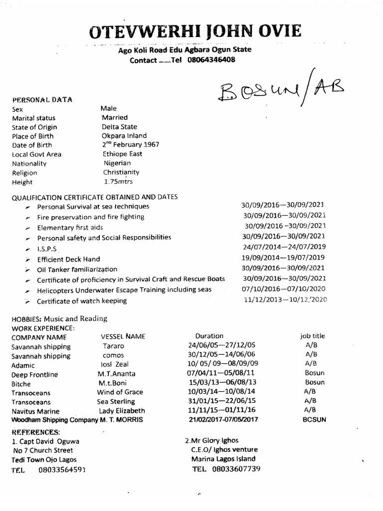 John CV and Incredentials | PDF