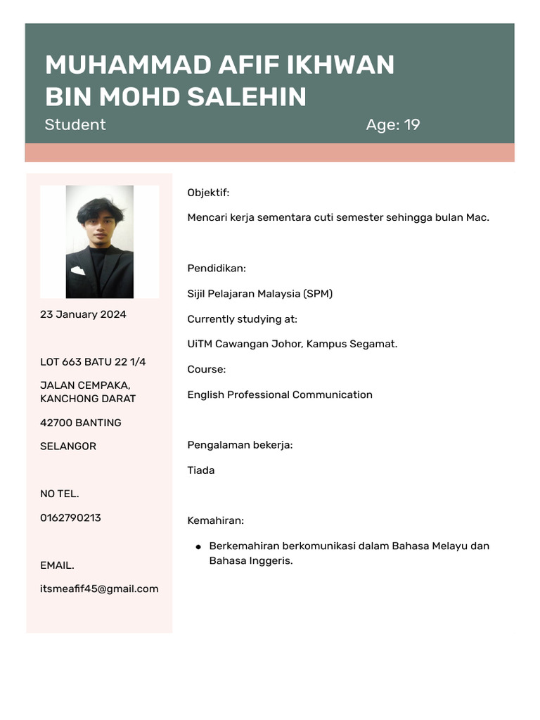 Resume Mysurf | PDF