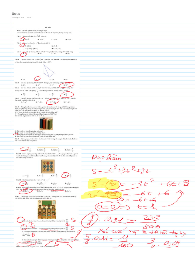 Ôn CK: Study Guide Overview | PDF