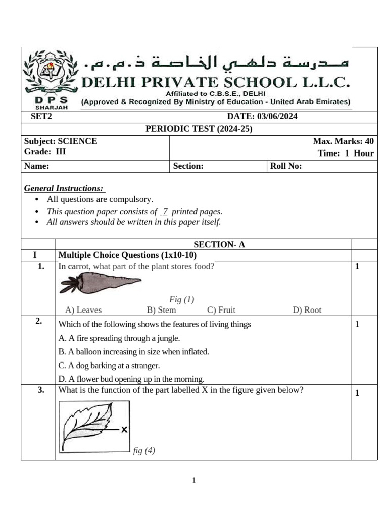 PT1 GR3 Science Set2 - 34018 | PDF | Leaf | Plants