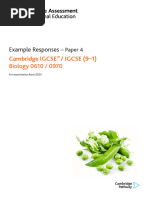 EPQ Planning Review Examples | PDF | Advertising | Information