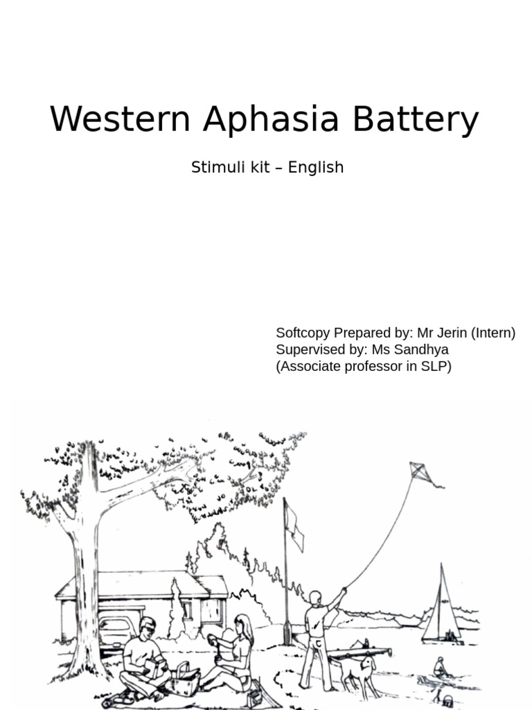 Wab Stimulus Kit - English | PDF