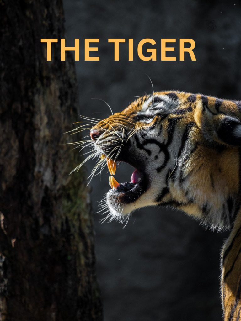 The Tiger | PDF