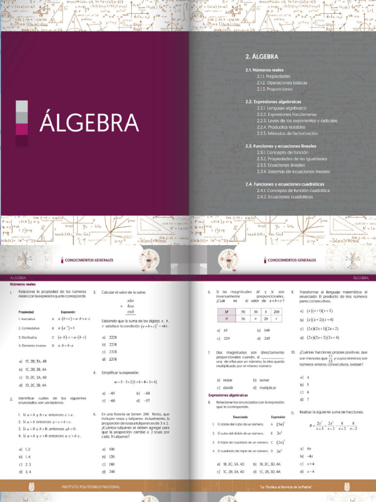 Guía IPN 2025 | PDF