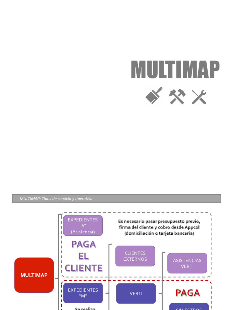 04-Documentación_MULTIMAP (9) | PDF | Presupuesto | Póliza de seguros