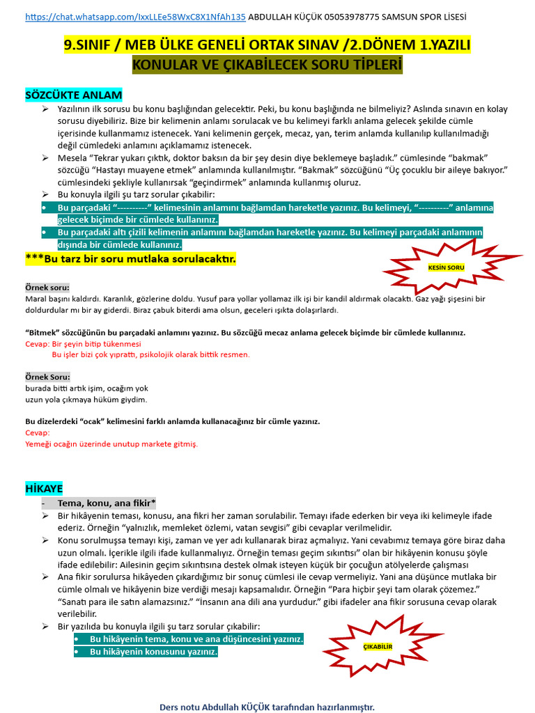 9 Sinif Tde Cikabilecek Sorular | PDF