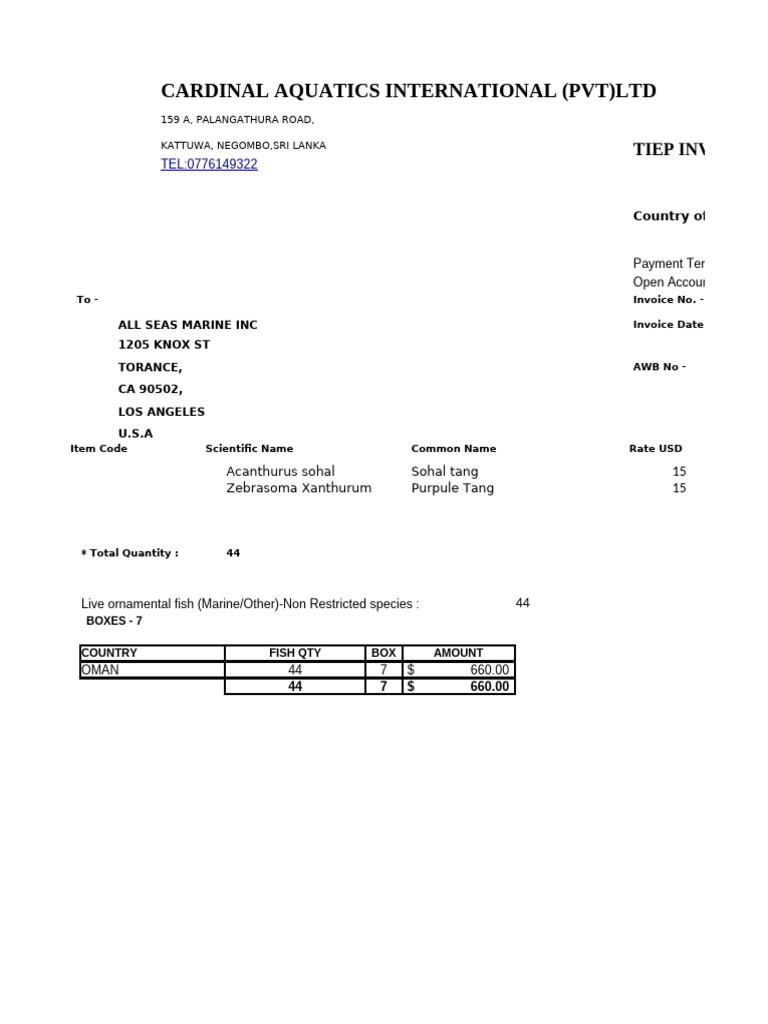 Teip Invoice | PDF