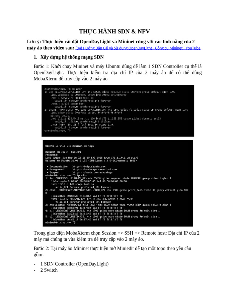 Hướng dẫn thực hành SDN và NFV | PDF