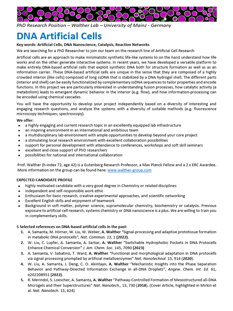 PHD - Protocell - Walther Lab | PDF | Dna | Cell (Biology)