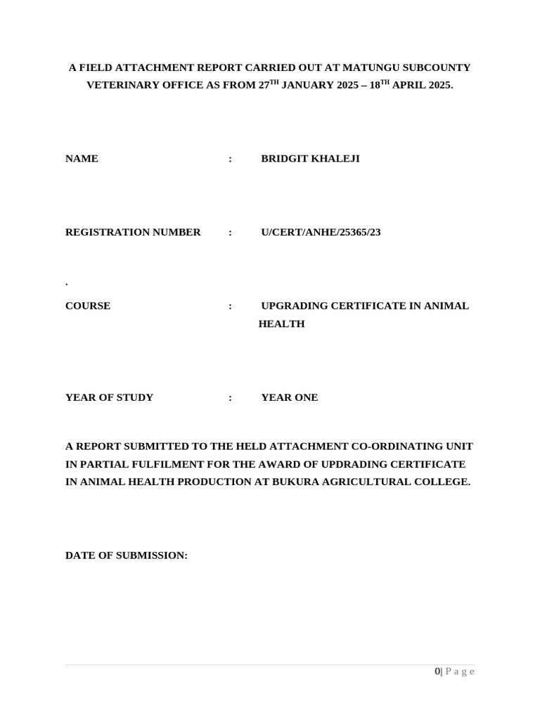 BRIDGIT KHALEJI - ATTACHMENT REPORT | PDF