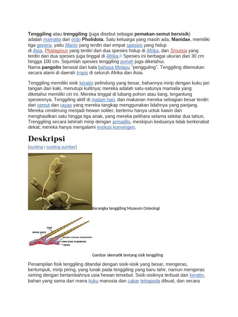 Ciri dan Habitat Tenggiling | PDF