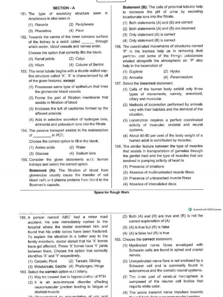Human physiology 1 | PDF