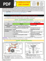 Schéma de la reproduction humaine | PDF | Cycle menstruel | Utérus