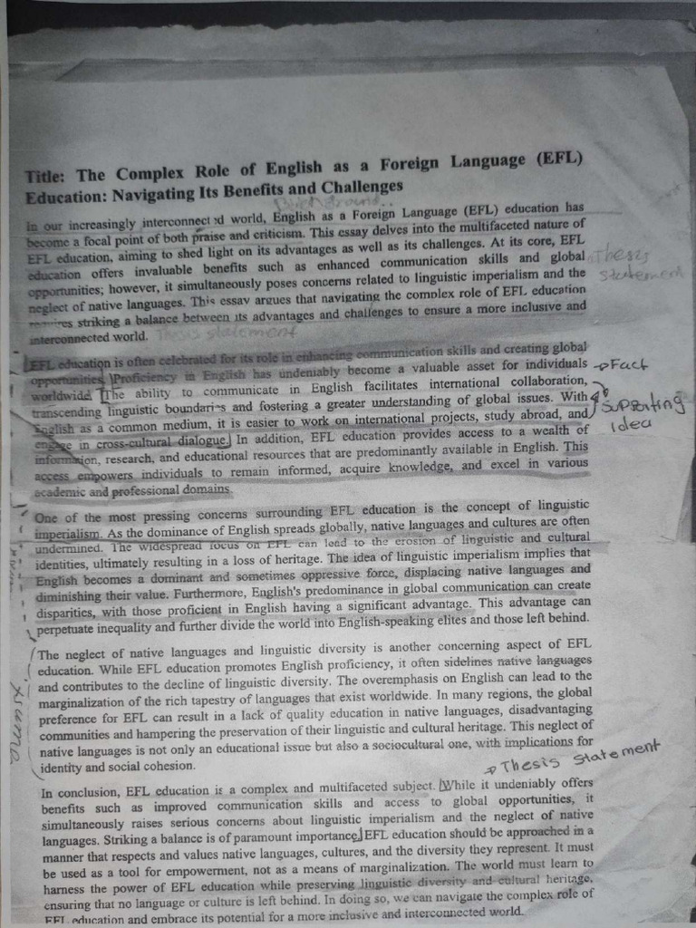 Portfolio-Arantxa Martinez | PDF