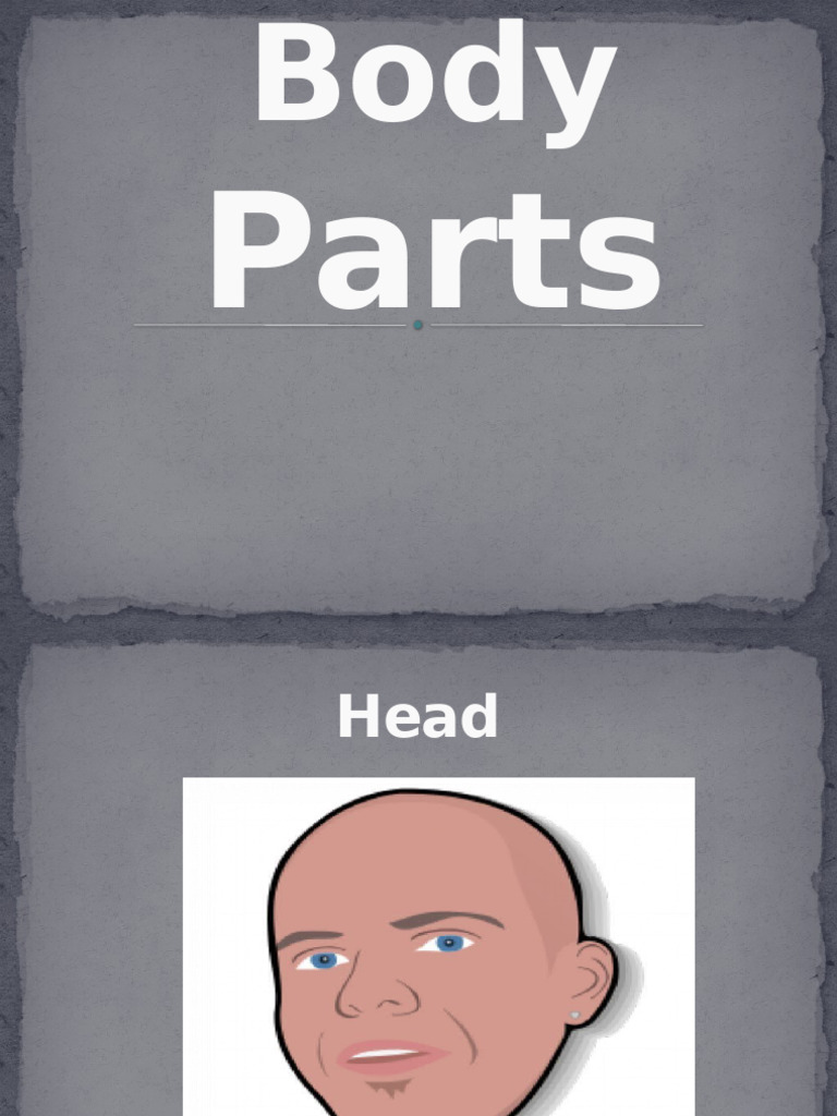 Human Body Parts List | PDF