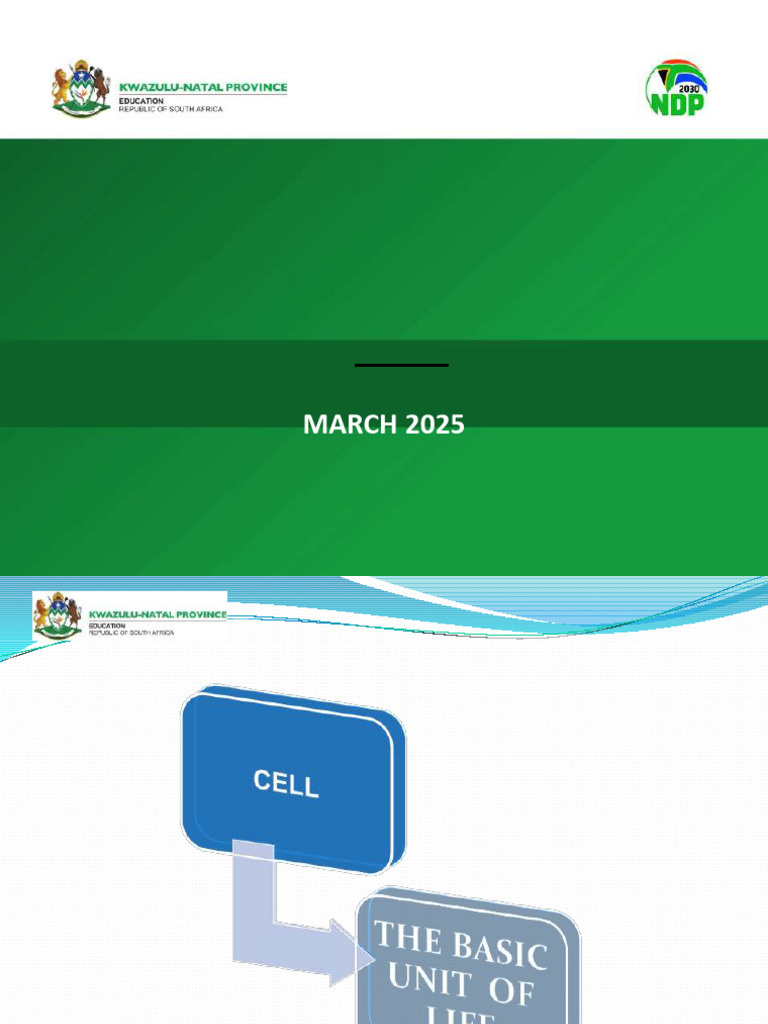 Grade 10 JIT Term 1&2 Cells-The Basic Unit of Life | PDF | Osmosis ...