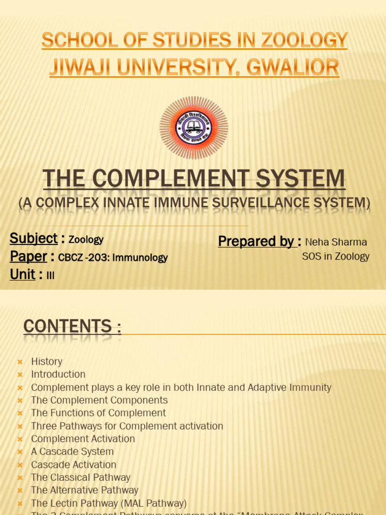 Share THE COMPLEMENT SYSTEM | PDF | Complement System | Immune System