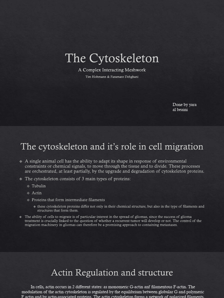 Actin Cytoskeleton Dynamics Explained | PDF