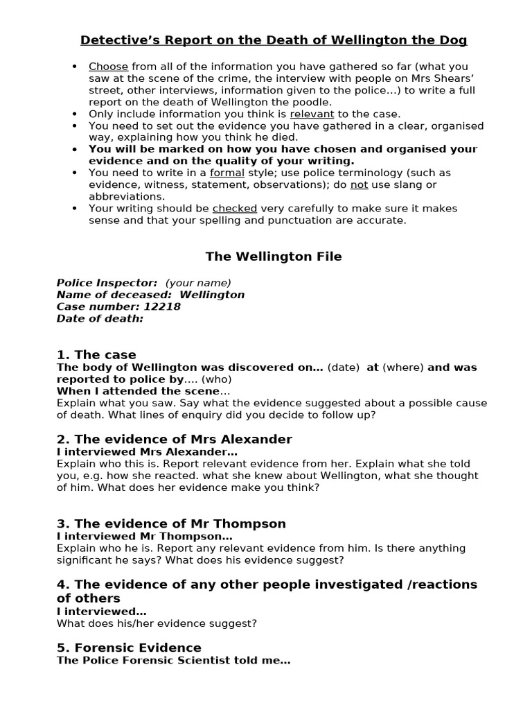 L6-Detective Report Outline | PDF