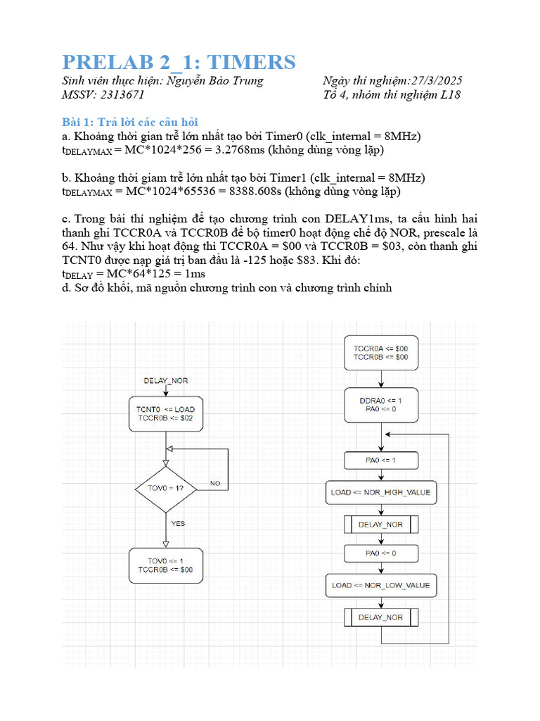 Prelab Timer | PDF