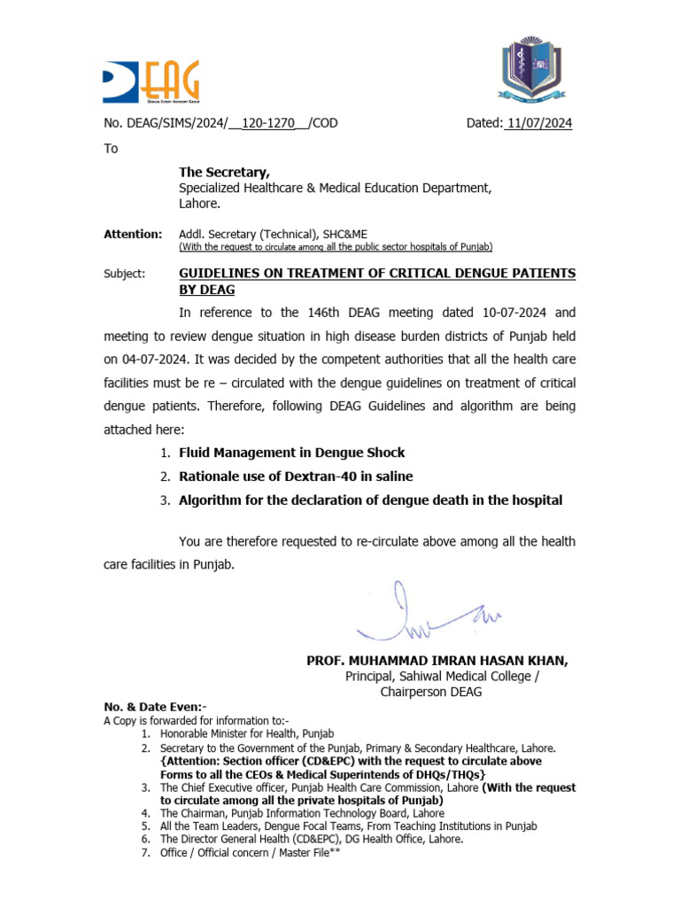 DEAG Guidelines for Critical Dengue Care | PDF