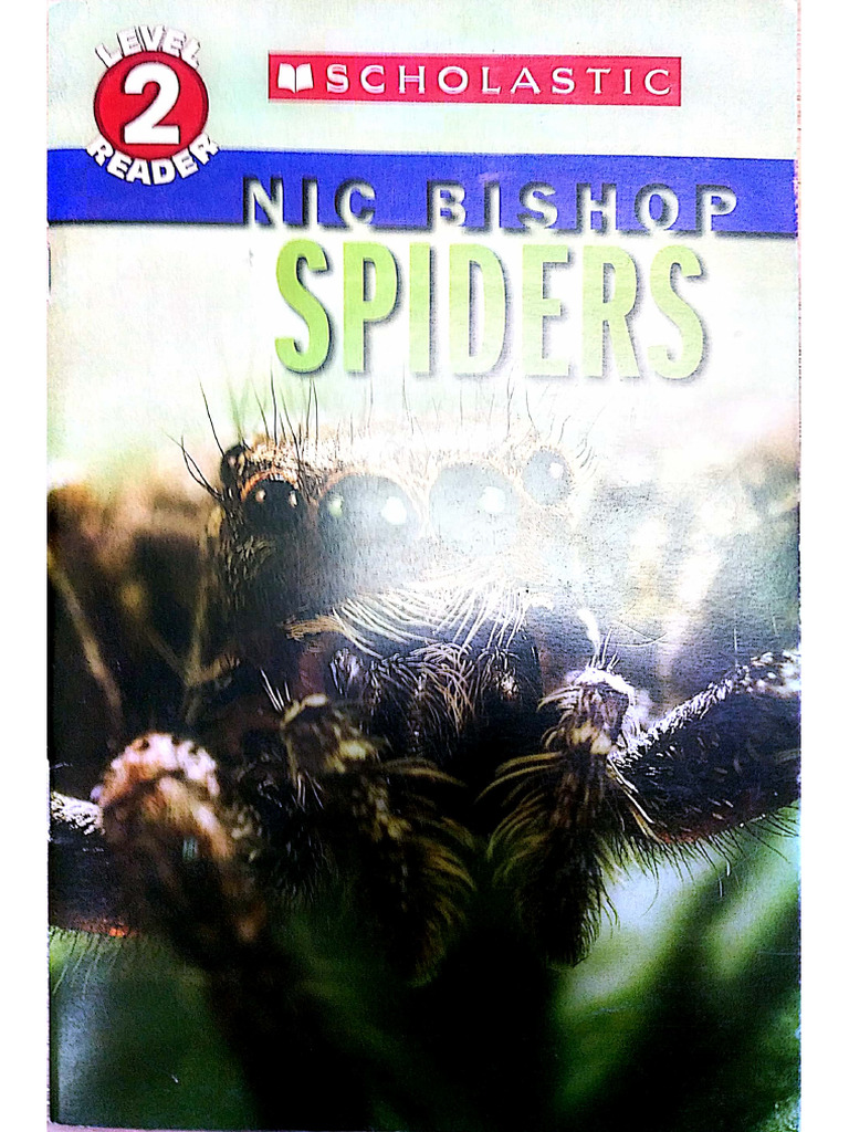 PE3 1 Spiders | PDF